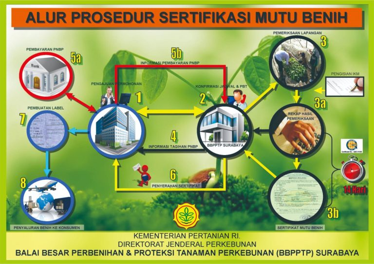 Balai Besar Perbenihan dan Perlindungan Tanaman Perkebunan » Sertifikasi Mutu Benih Tanaman ...